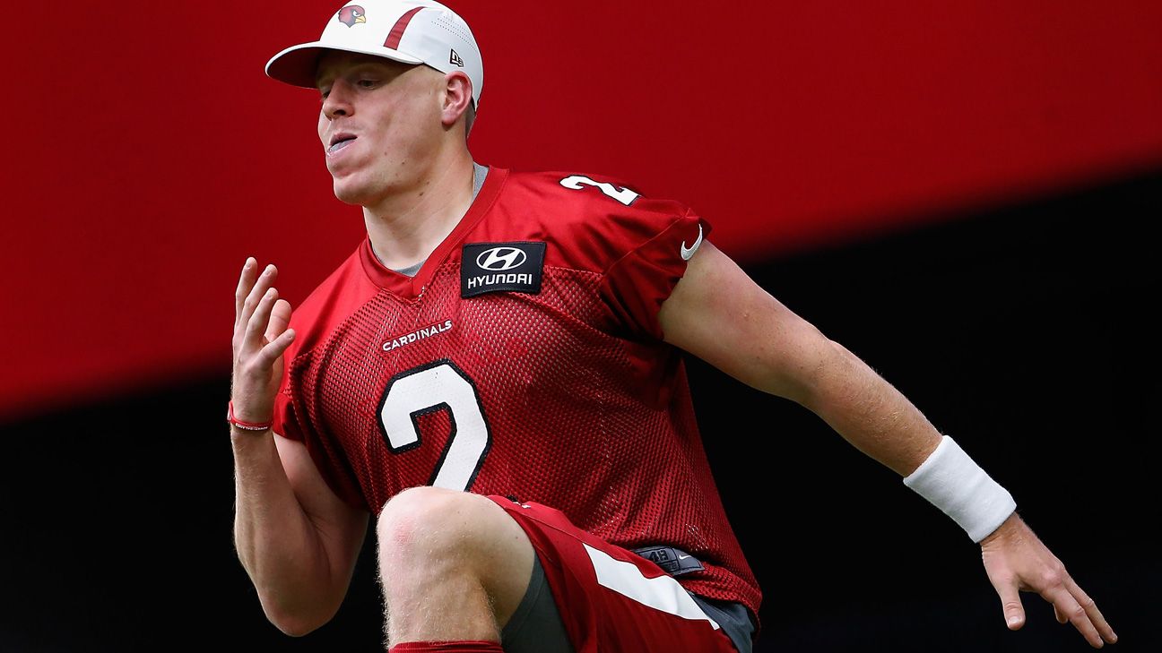 El pateador de despeje Drew Butler acuerda volver con los Cardinals