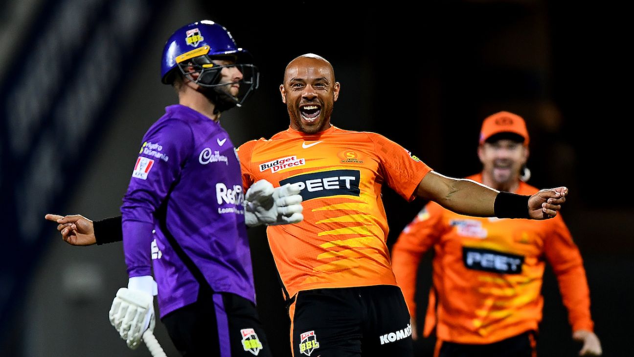 The early BBL report card: Scorchers fly high, Stars seek consistency ...