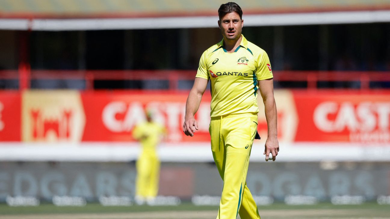 The Buzz: How hairy are Marcus Stoinis' arms? - ESPN