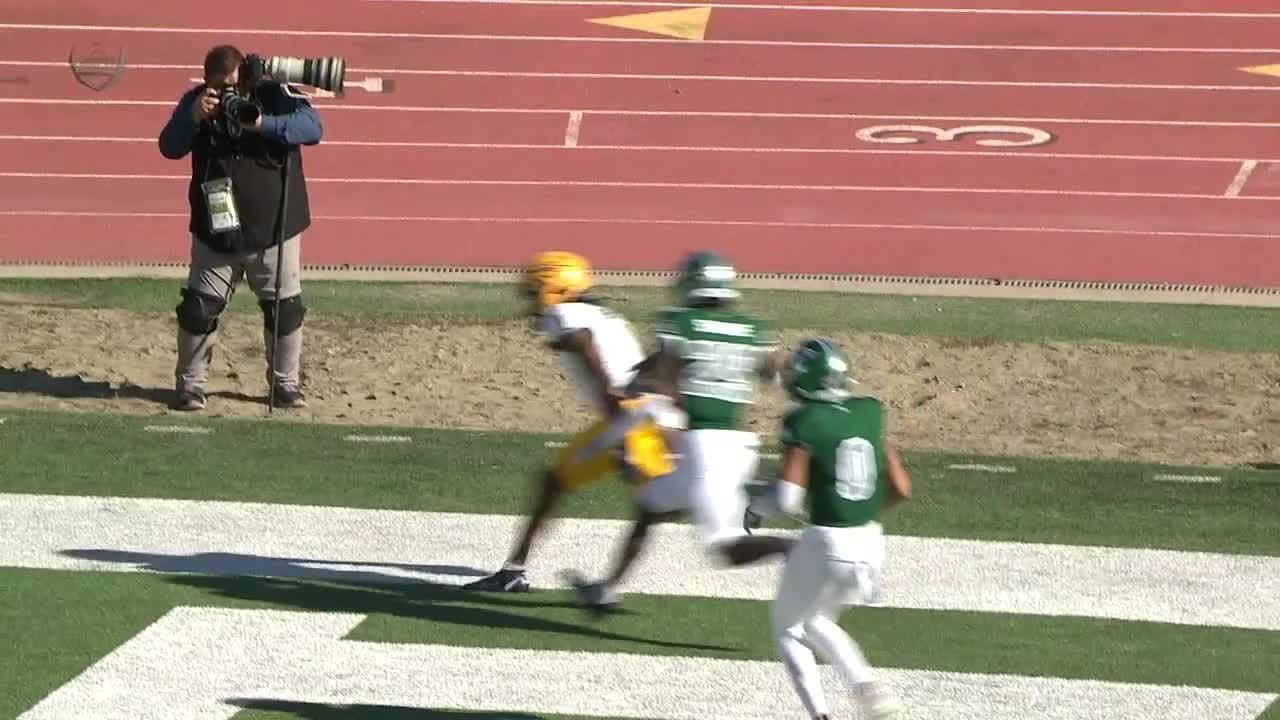 Tucker Gleason throws 35-yard touchdown pass to Jerjuan Newton - ESPN Video