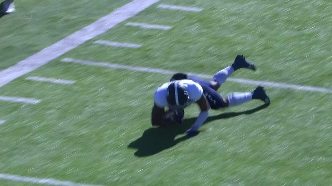 Georgia Southern's Beau Johnson trips and falls agonizingly short of TD ...