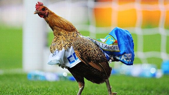 Update: Soccer chicken brings no luck - ESPN - Visuals - ESPN Playbook ...