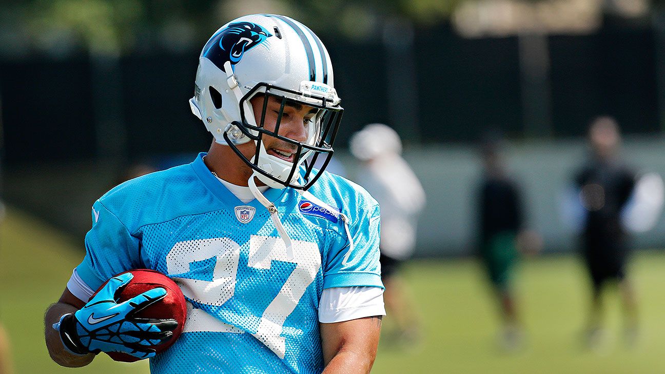 Carolina Panthers rookie RB Tyler Gaffney (knee) to miss season - ESPN