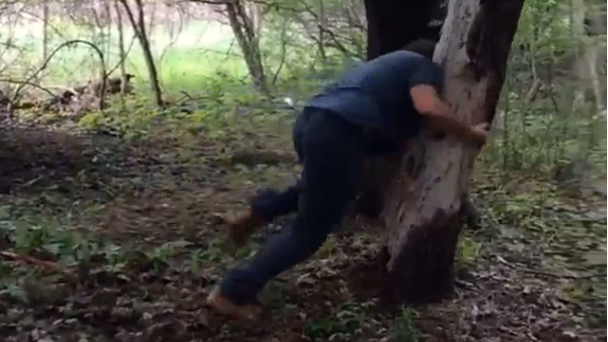 Meet tree-tackling, Thriller-dancing Lions DL Anthony Zettel - ESPN ...