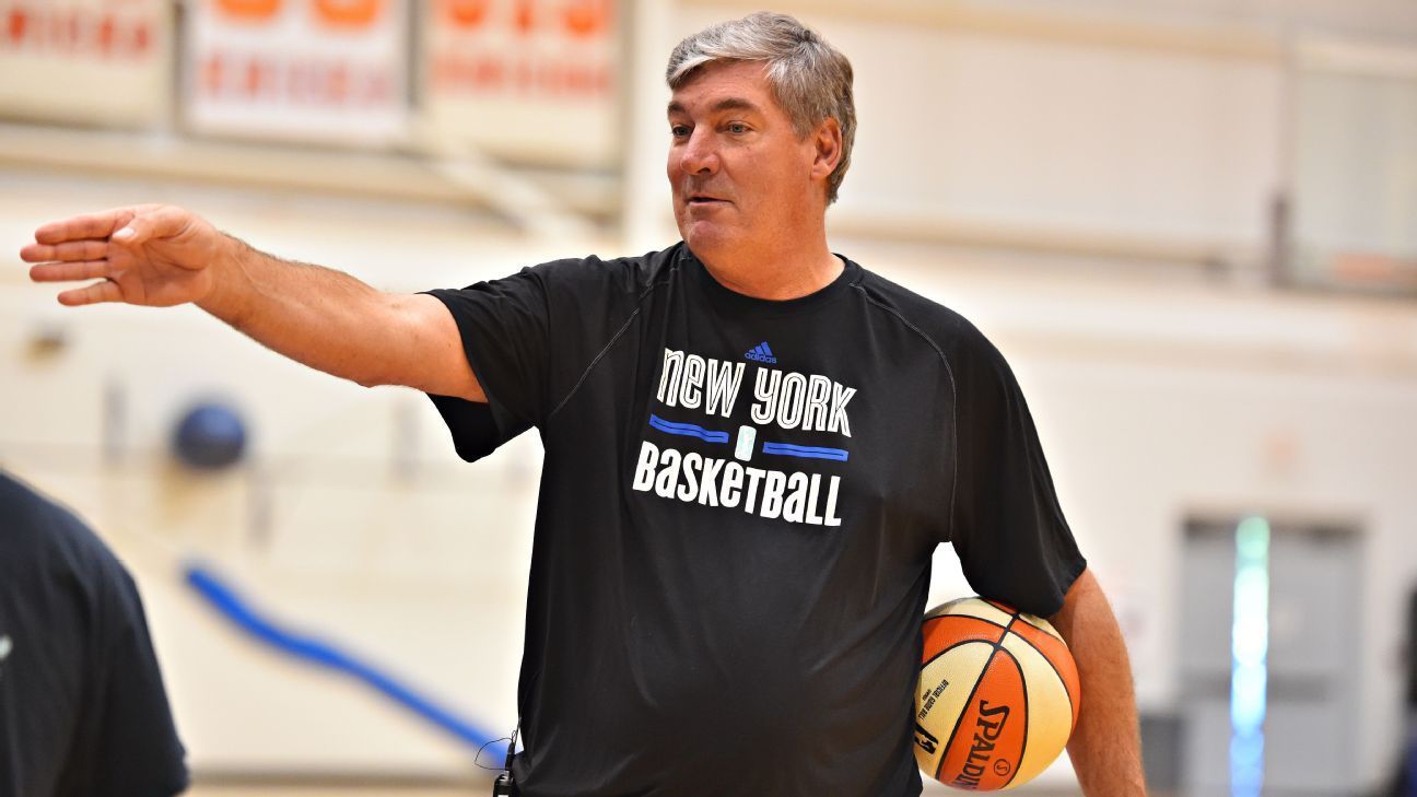 Bill Laimbeer was New York Liberty's best option all along - ESPN