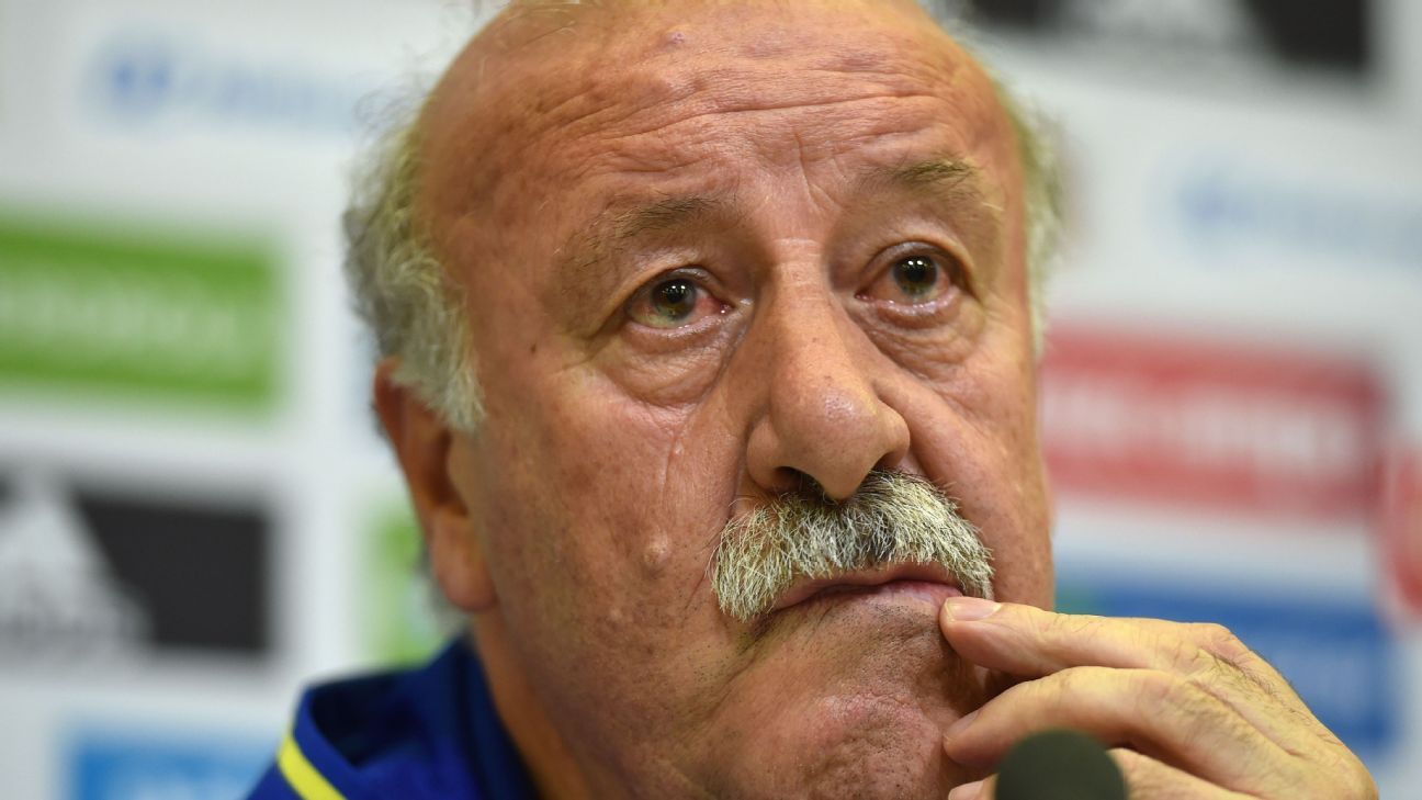 Spain coach Vicente del Bosque still has 'affection' for Turkey ahead ...