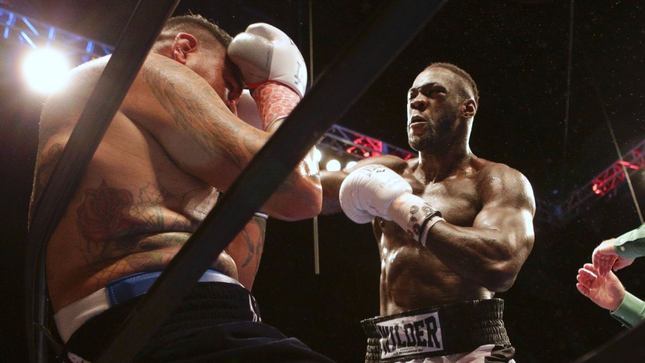 Deontay Wilder: 'I have a goal to reach in this sport and I will reach ...