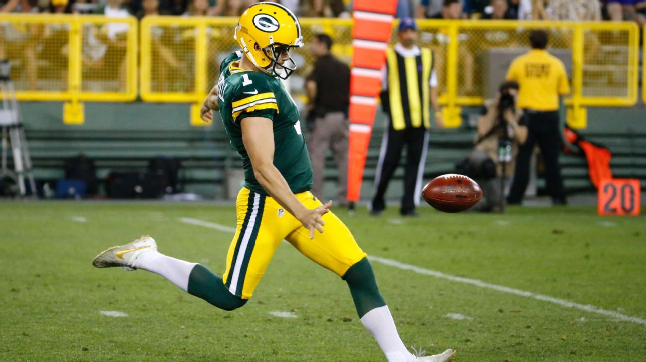 Green Bay Packers punter Peter Mortell has 'special' hometown debut ...