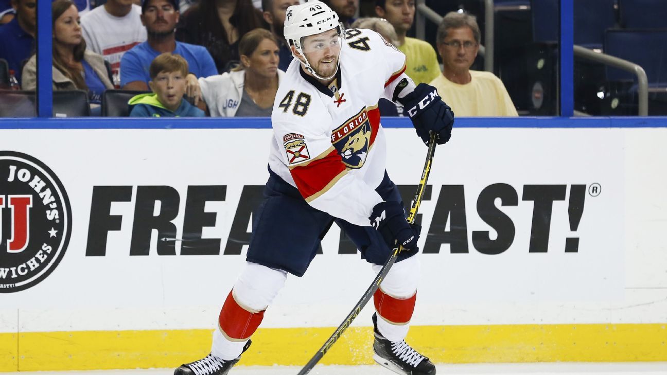 Anaheim Ducks trade Michael Sgarbossa to Florida Panthers for Logan ...