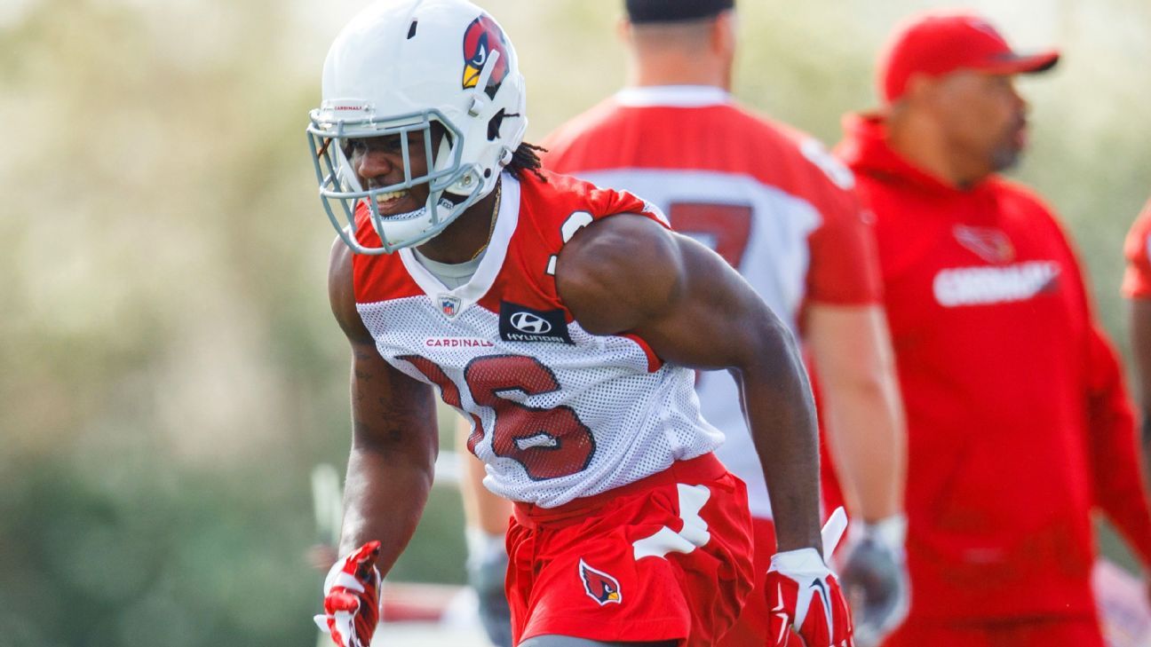 Chad Williams showing off freakish athleticism during OTAs - ESPN ...