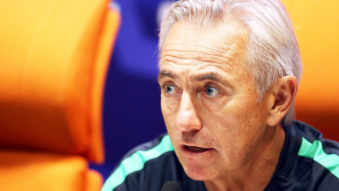 Bert van Marwijk 'a great choice' for Australia - Brett Holman - ESPN