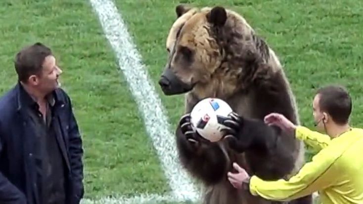 Bear performing before Russian league match branded 'inhumane' by PETA ...