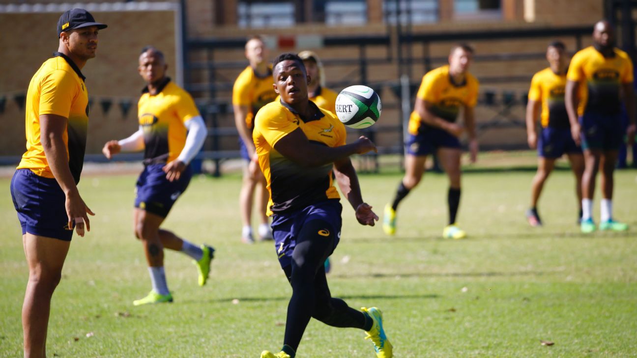 Springboks South Africa England rugby,S'busiso Nkosi, Aphiwe Dyantyi RG ...