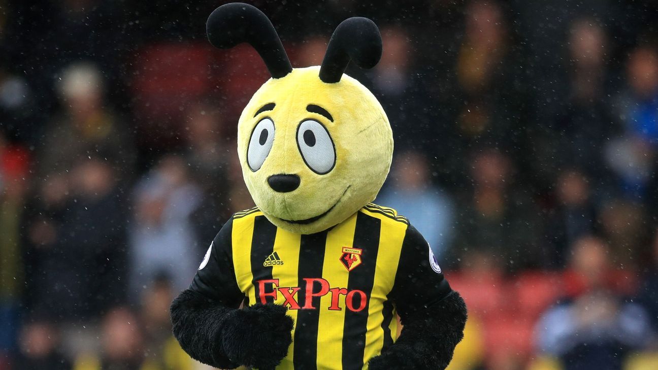 When football mascots go bad: Rogues' gallery of furry suits - ESPN