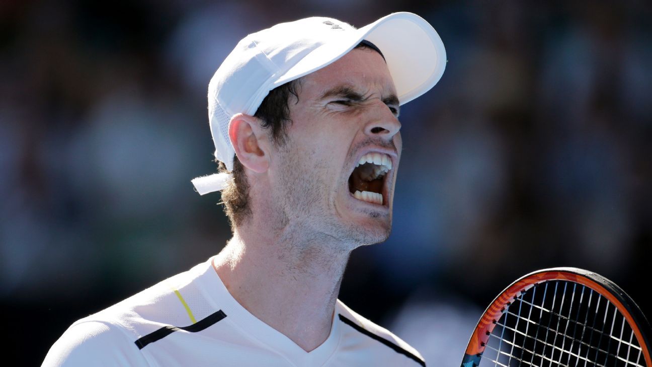 Australian Open 2019 - Andy Murray to retire after hip injury becomes ...