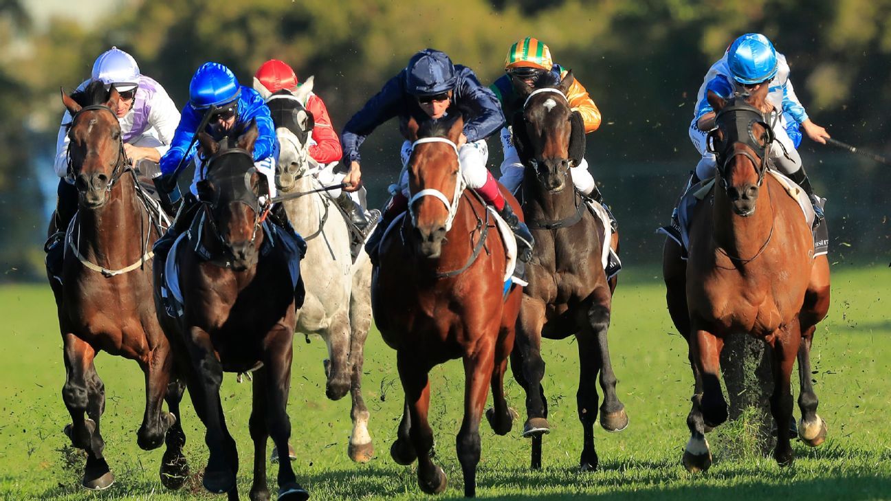 TAB Betting Blog Can't Be Done best bet for punters - ESPN