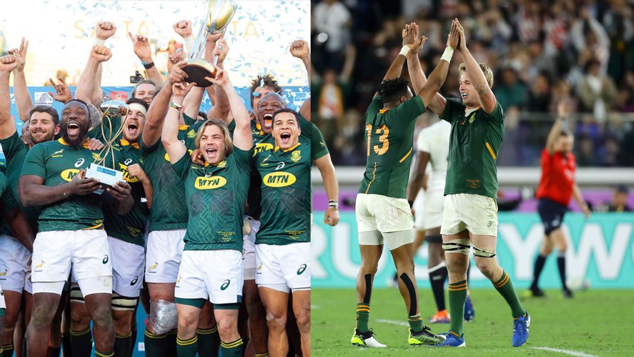Un 2019 soñado para los Springboks: Campeones del Rugby Championship y ...