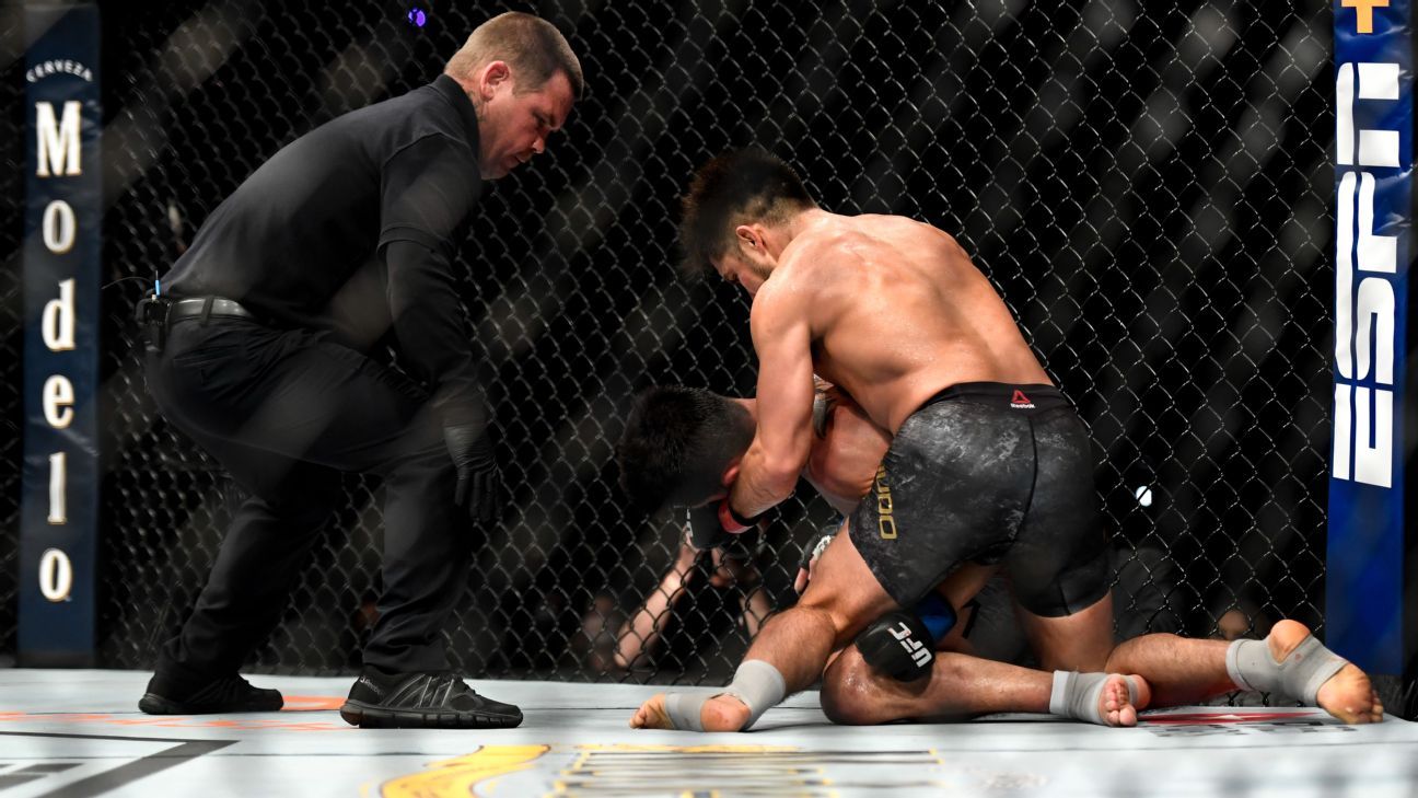 Líder da 'Chute Boxe SP' exalta UFC 249, mas pede punição a árbitro de ...