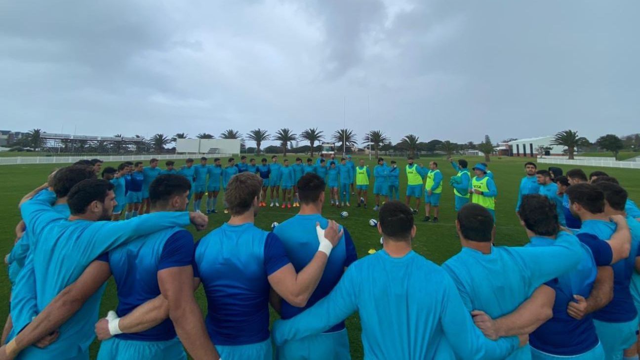 Rugby Championship: horario y cómo ver el debut de Los Pumas ante ...