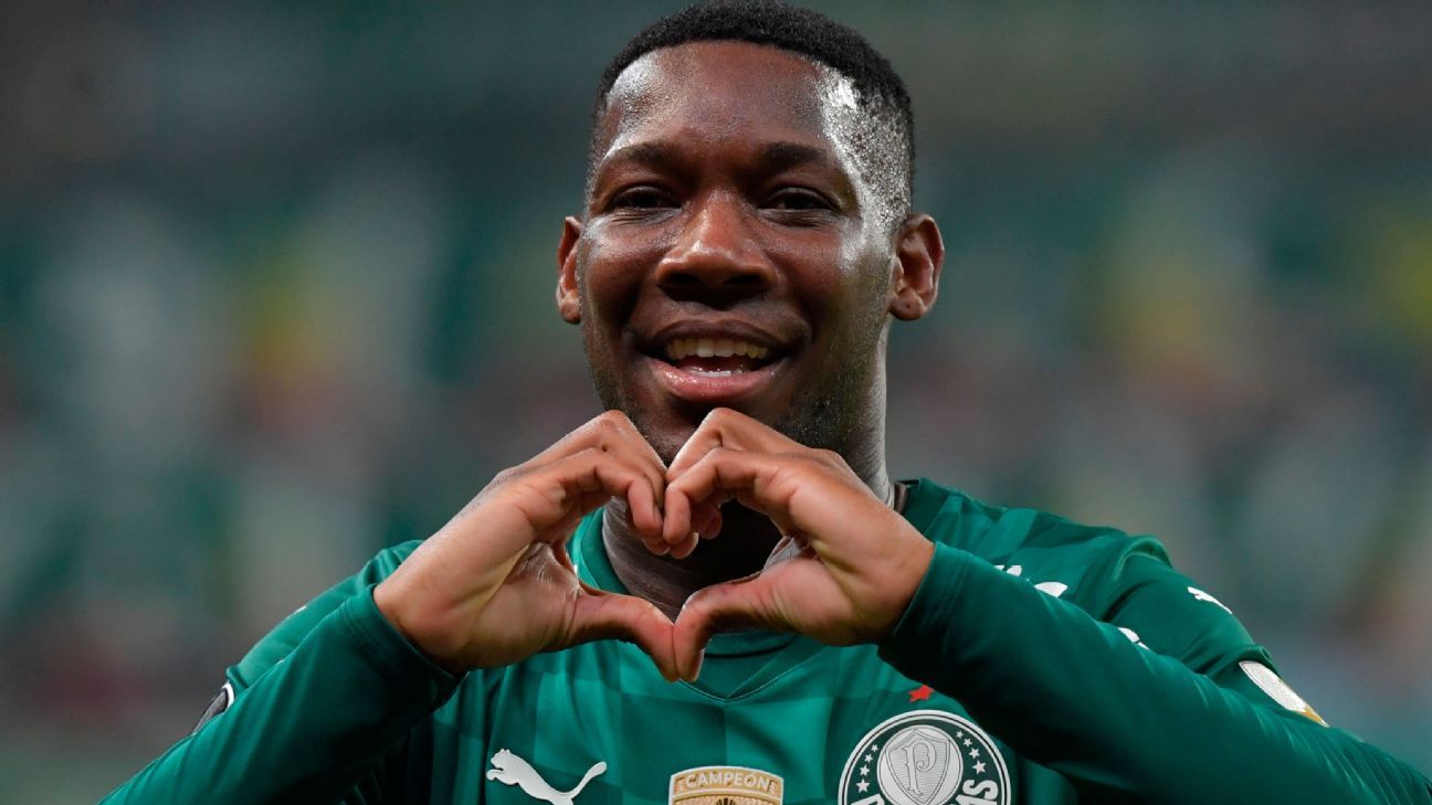 Patrick de Paula diz que Botafogo é muito grande mundialmente e foca em ...