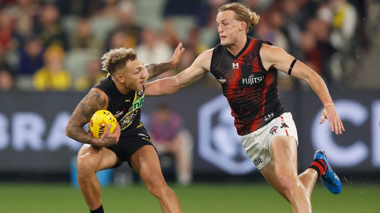 Bomber Redman cops one-match AFL ban - ESPN