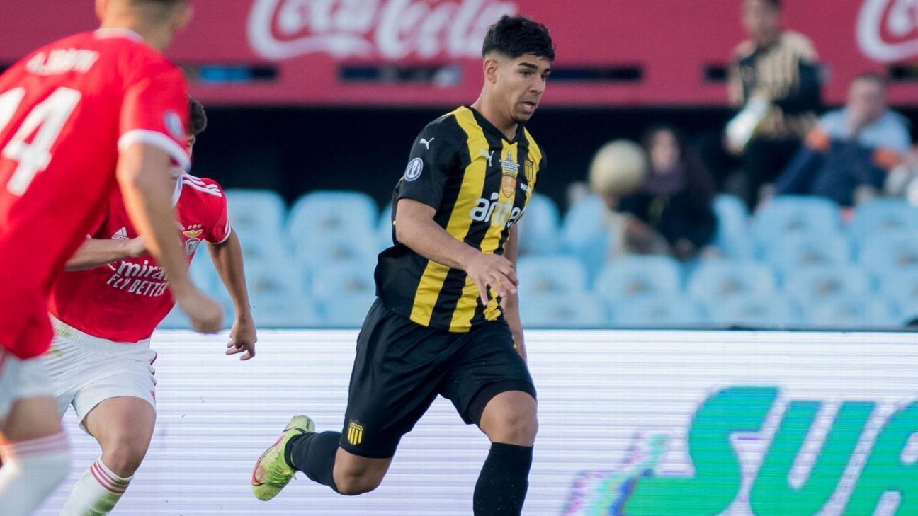 Mathías De Ritis: "Estoy destruido anímicamente" - ESPN