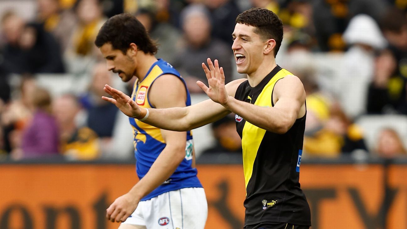 AFL Triple premiership Richmond Tiger Jason Castagna retires - ESPN