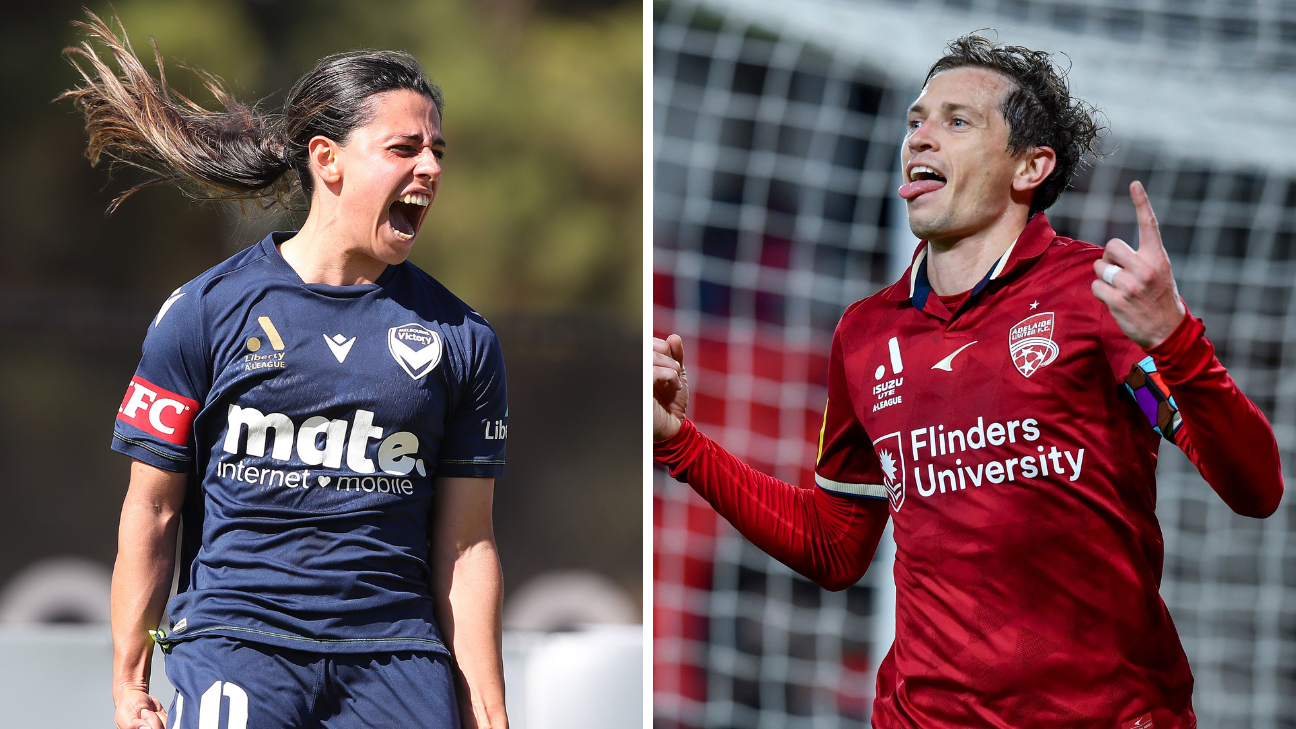 Craig Goodwin, Alex Chidiac win A-Leagues top honours - ESPN