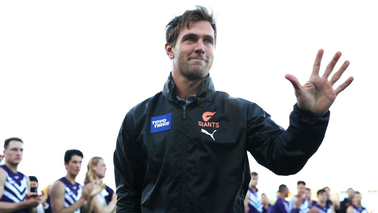 AFL Andrew Ireland, Matt de Boer endorsed for Commission roles - ESPN