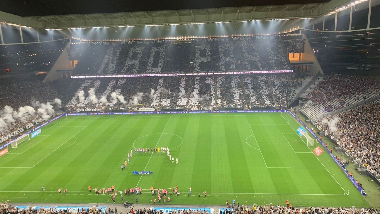 Doe Arena Corinthians: 'vaquinha' para Neo Química Arena chega a R$ 10 ...