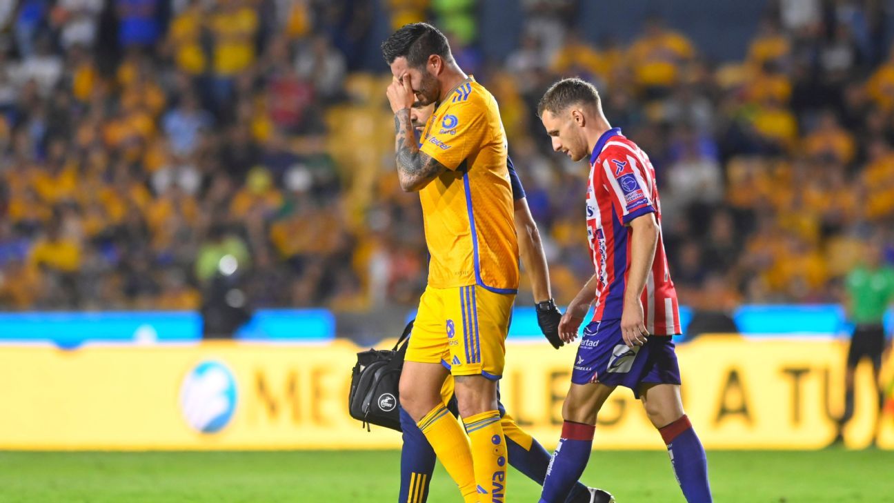 Tigres: Desconocen gravedad de lesión de Gignac - ESPN