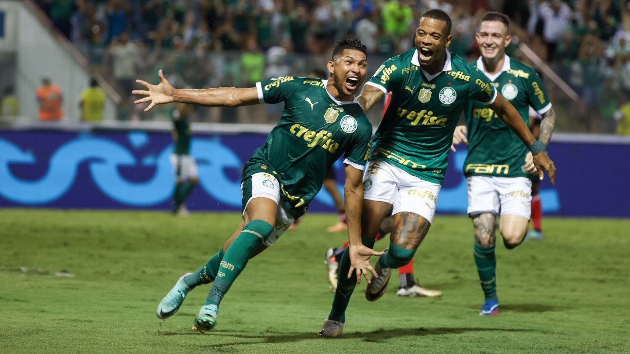 Palmeiras X Ponte Preta Onde Assistir Ao Vivo Horário Palpites E