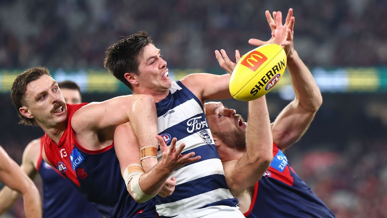 AFL: Demons end Cats' unbeaten start with big AFL win - ESPN