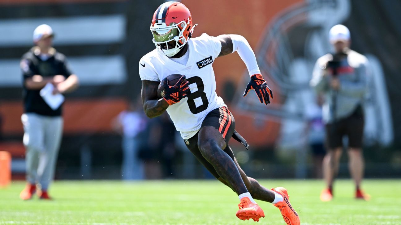 Browns like wide receiver options heading into 2024 - ESPN