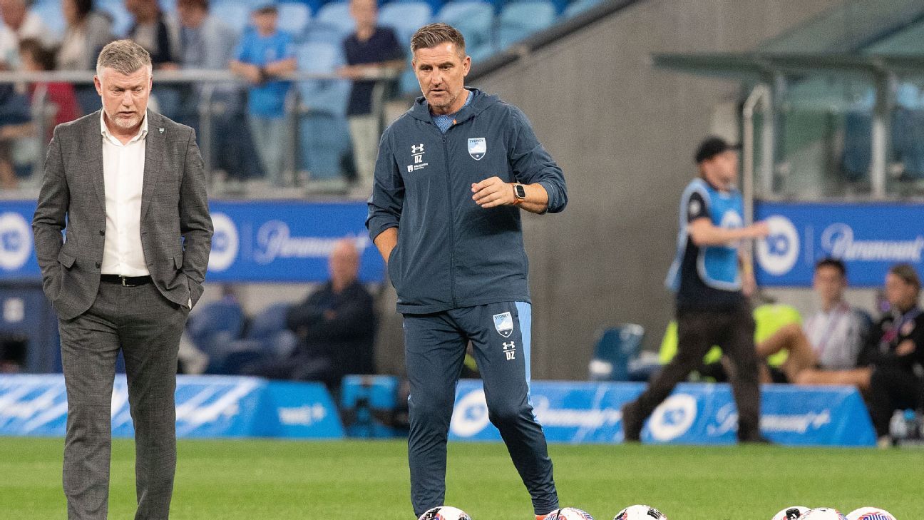 A-League Men: Former Socceroo Zdrilic appointed new Perth Glory coach ...
