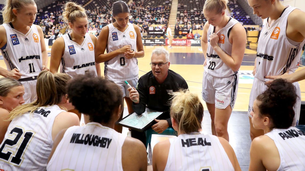 WNBL: Shane Heal seeks thousands over missing payslips from Sydney ...