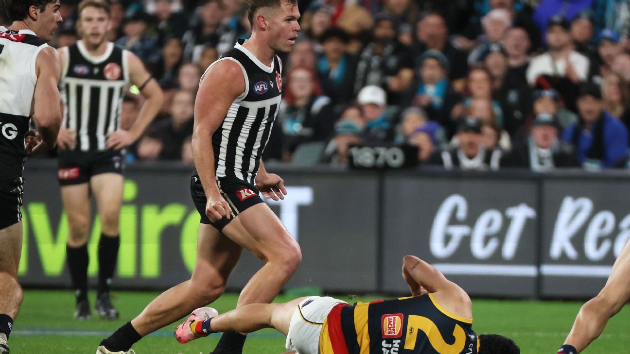 Port Adelaide fail to downgrade Houston's five-match ban - ESPN