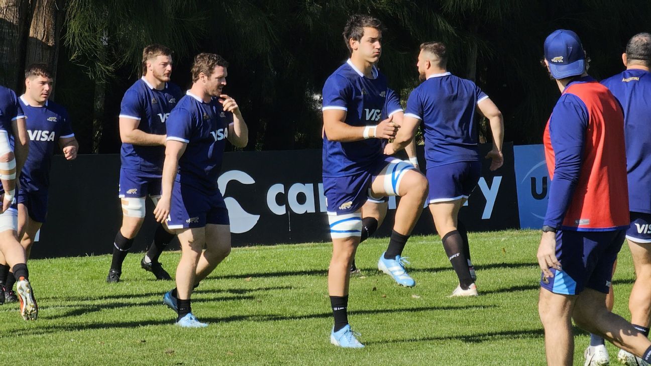 Santiago Grondona detalló el pack de forwards de los Springboks - ESPN