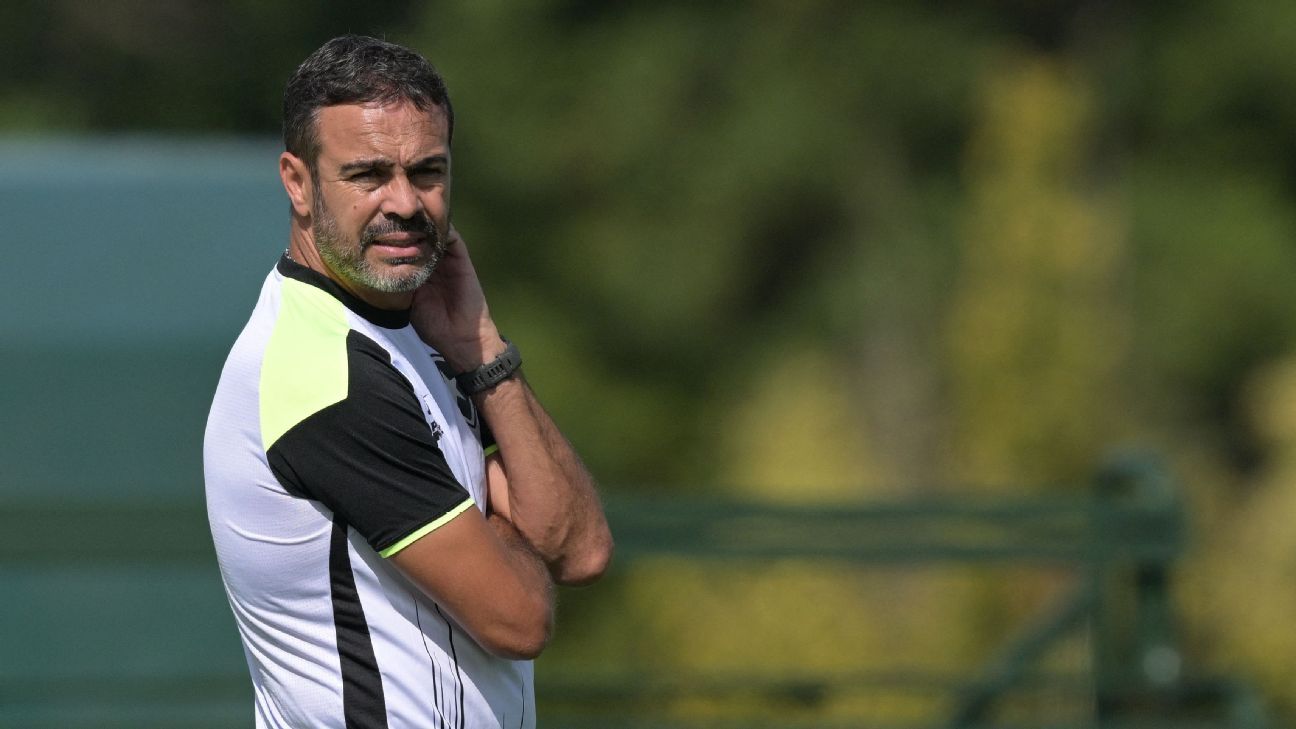 Botafogo, ainda comemorando, segue sem pressa para resolver futuro de ...