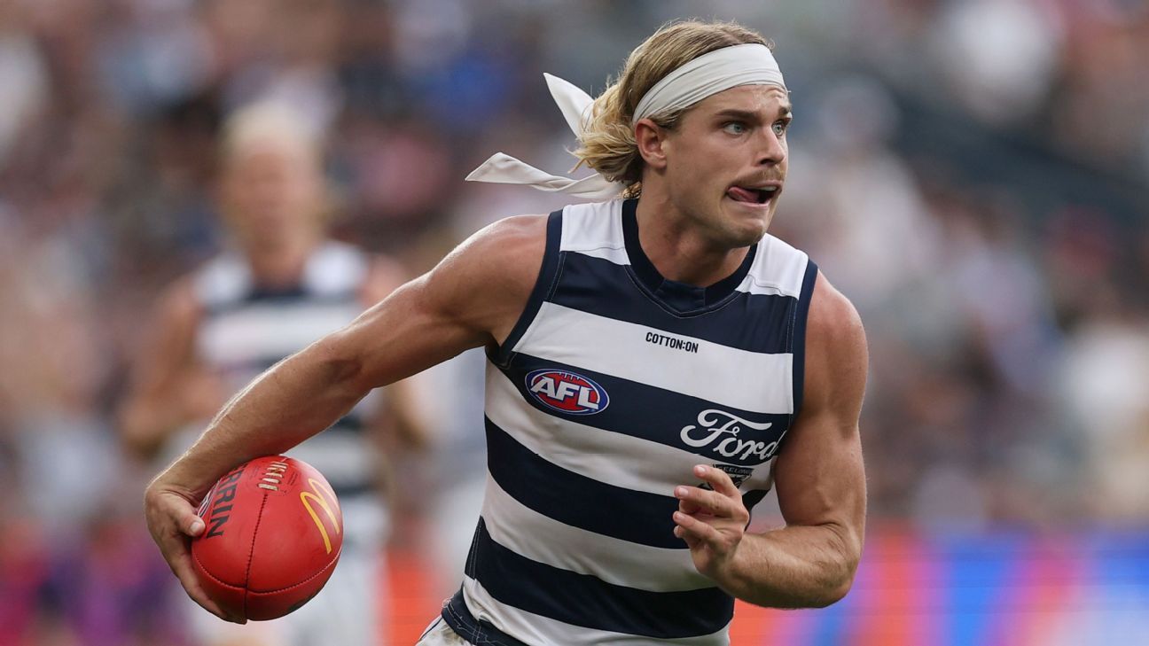 AFL: Dockers debutant Reid lights up Geelong as Cats win - ESPN