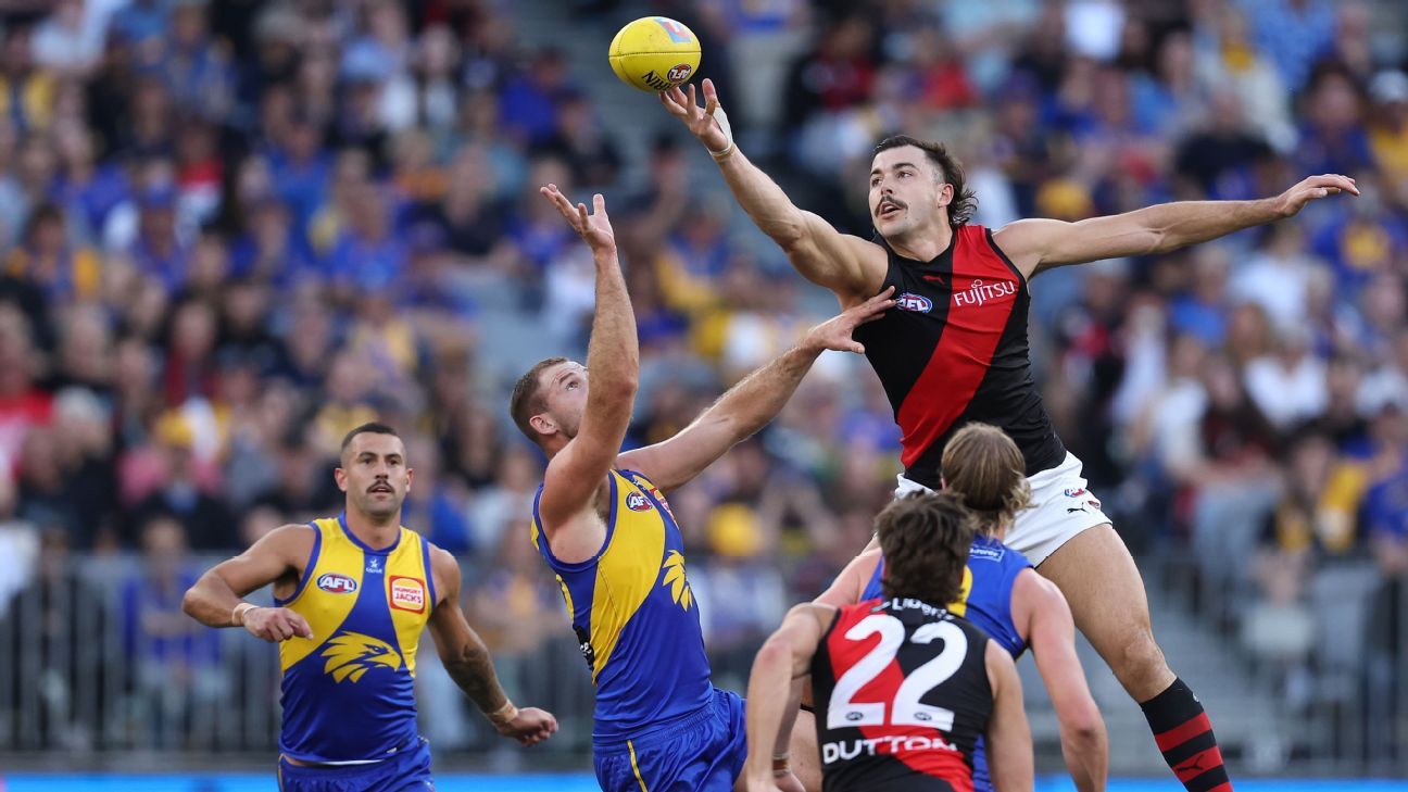 AFL: Dons' Draper fears confirmed, Crows relieved on Fogarty - ESPN