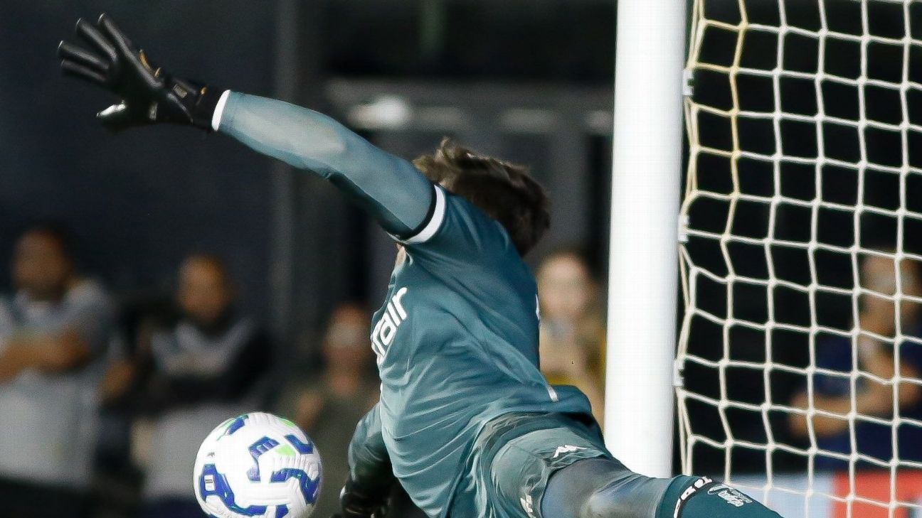 Vasco flerta com 'zebra' após sofrer gol no último minuto, mas vê Léo ...
