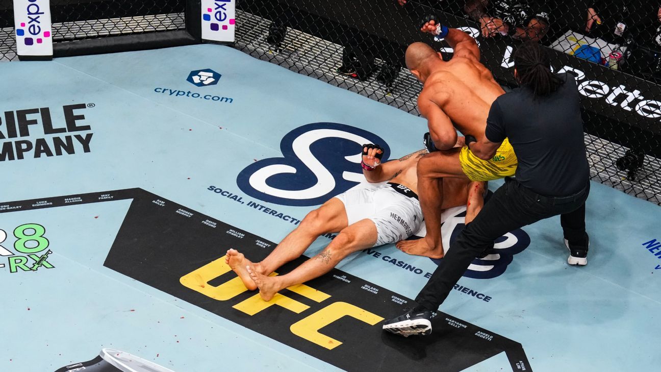 Robocop 'desmaia' norueguês, e Brasil fecha card preliminar do UFC 317 ...