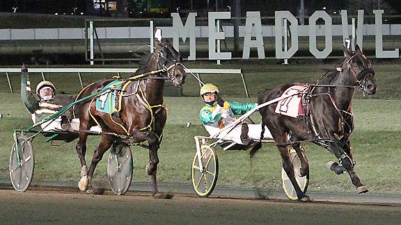 Foiled Again is harness racing's grand old man - ESPN