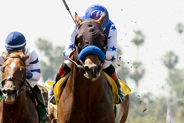 Lord Simba rules over short field in Los Angeles Stakes - ESPN