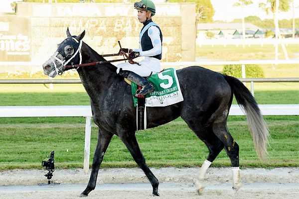 Tapwrit tops list of Derby auction horses - ESPN